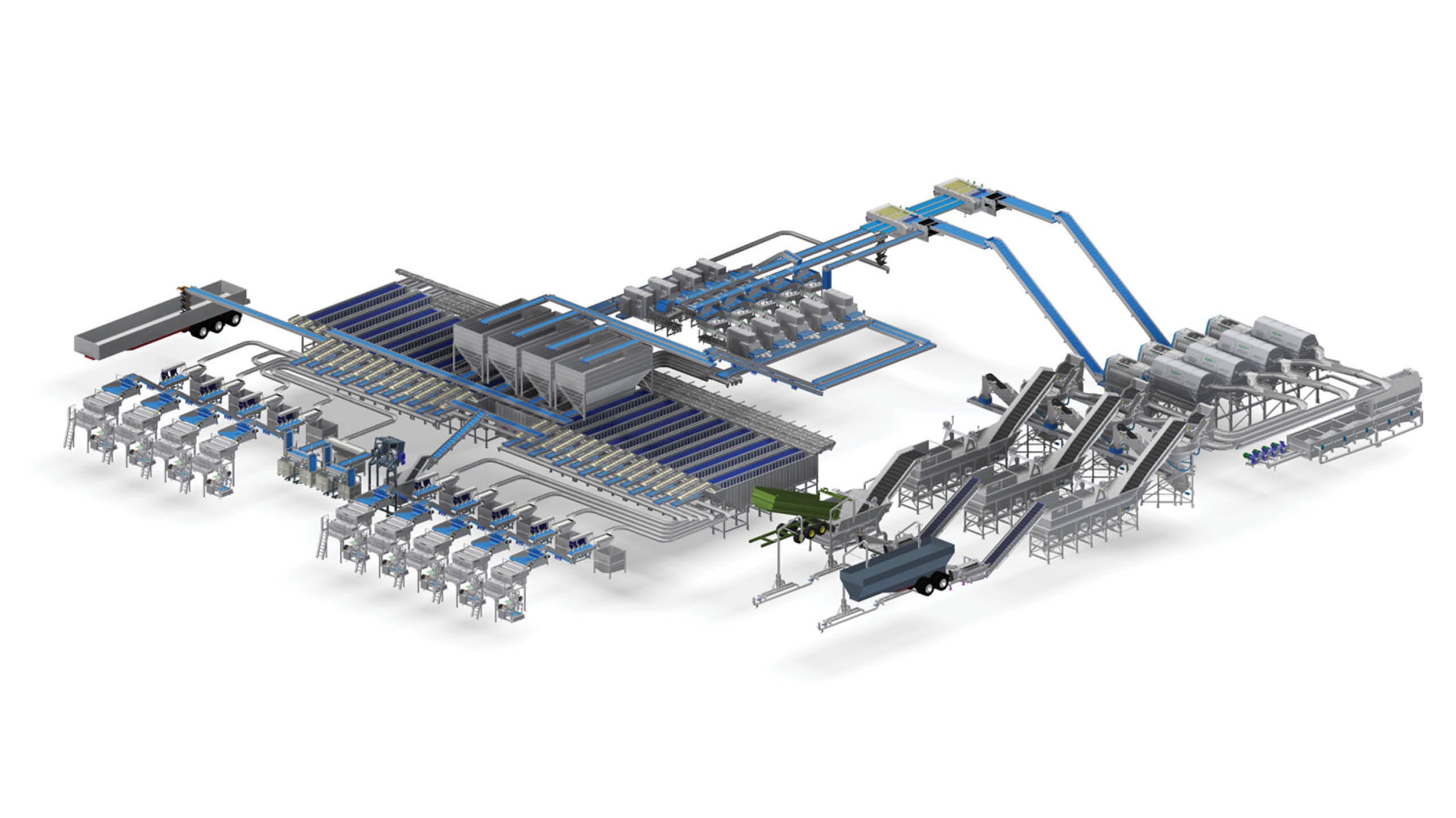 High-Volume Vegetable Processing: Equipment Built for Scale